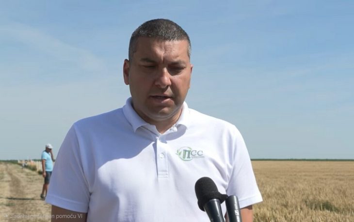 Zrenjanin: Žetva pšenice počeće za 10 dana